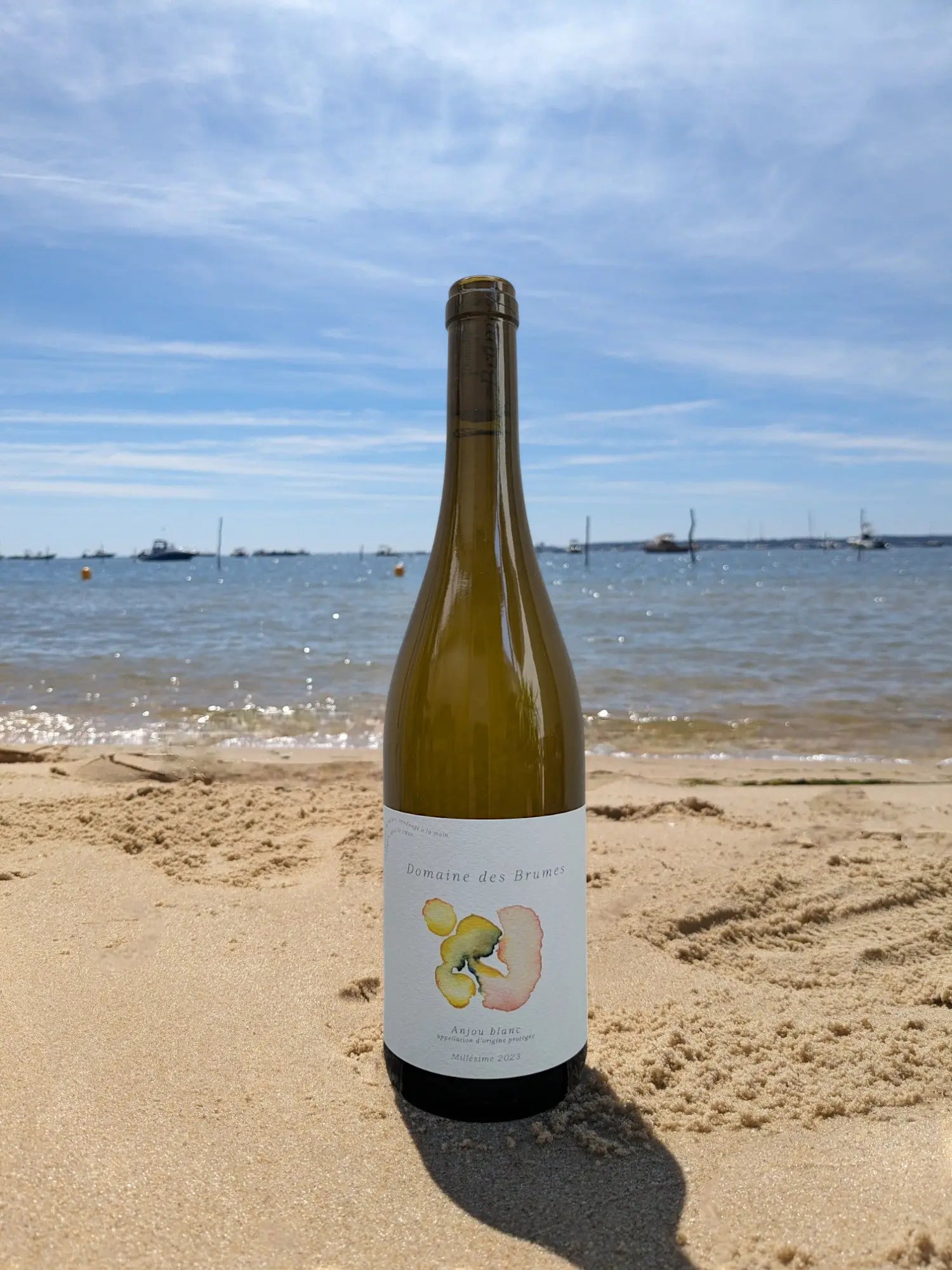 ANJOU BLANC - DOMAINE DES BRUMES - PIF! La cave